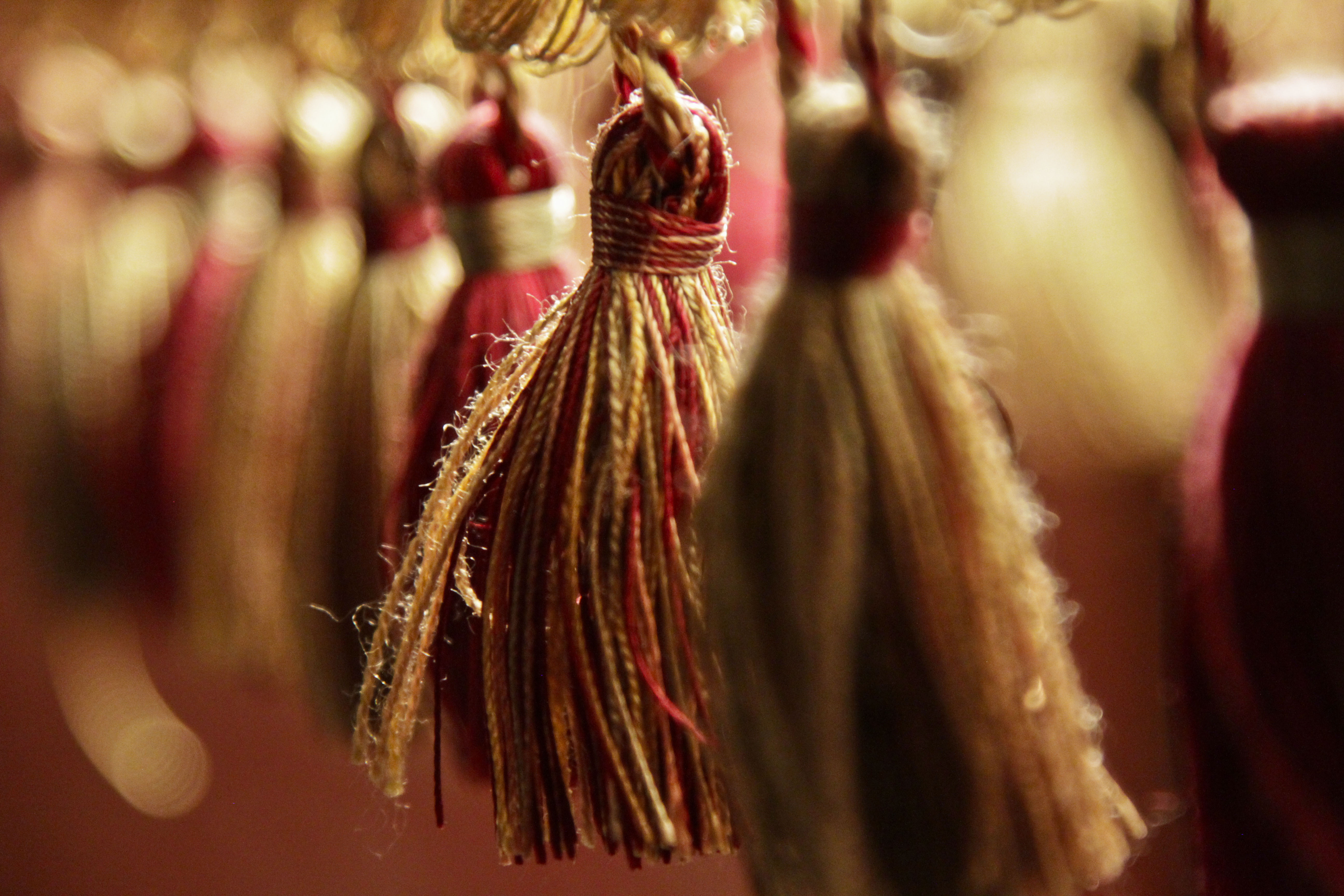 Forest of Tassles | Shutterbug